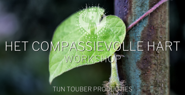 Shop – Tijn Touber