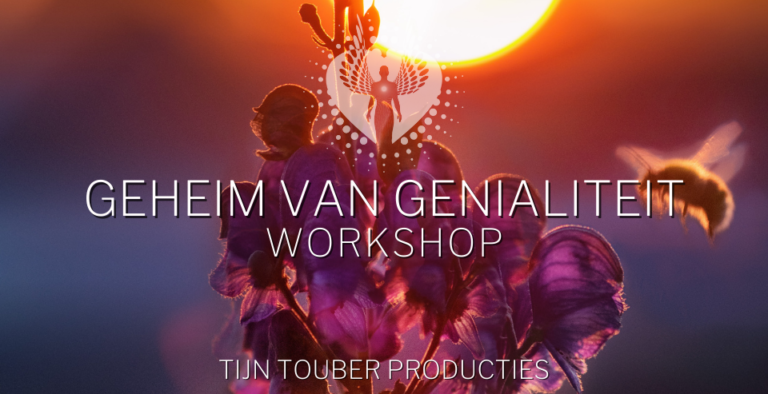 Shop – Tijn Touber